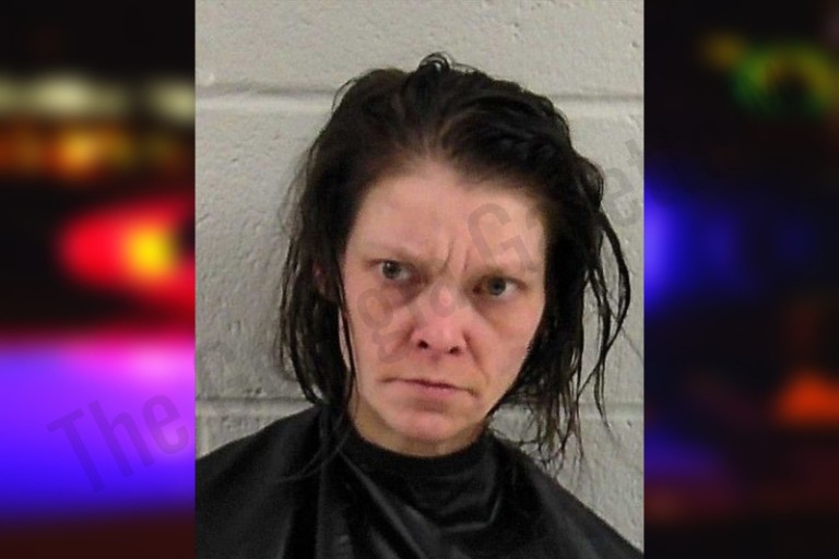 Elizabeth Goodwin — Elbert County