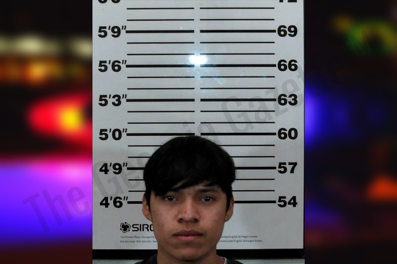 Pedro Guzman — Hart County Jail Bookings