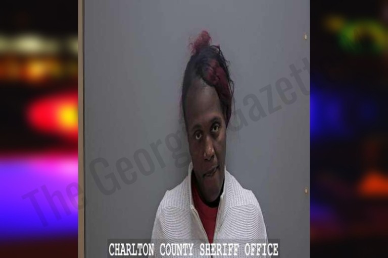 Kim Hamilton — Charlton County