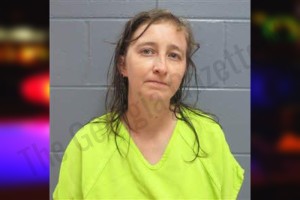Heather Henry — Lee County