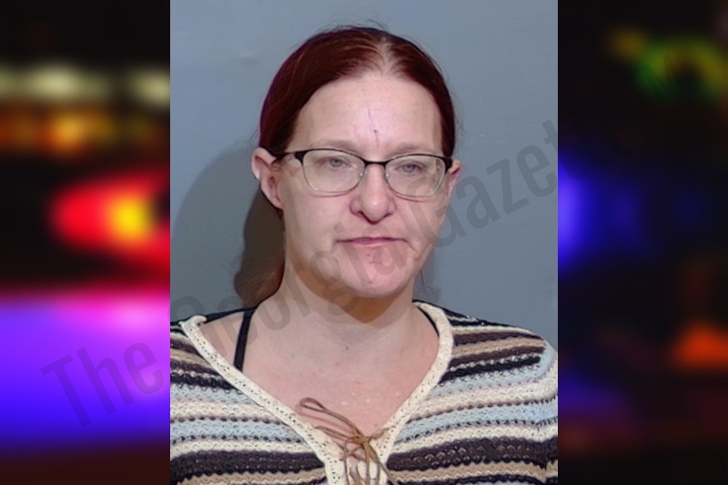 Brandy Hayes — Glynn County Jail Bookings