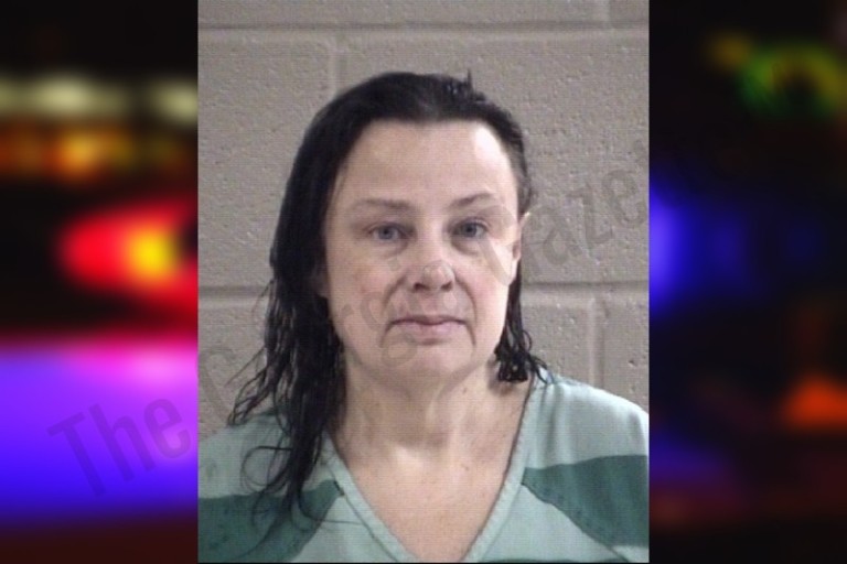 Elizabeth Hollingsworth — Whitfield County Jail Bookings
