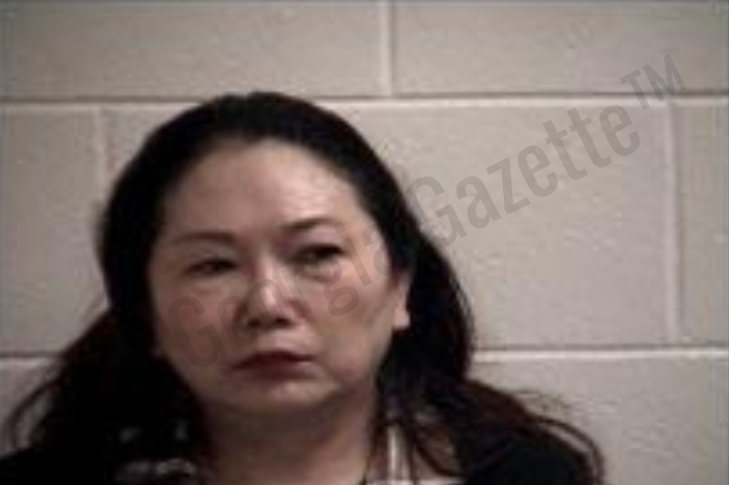 Lin Hongfang — Henry County Jail Bookings