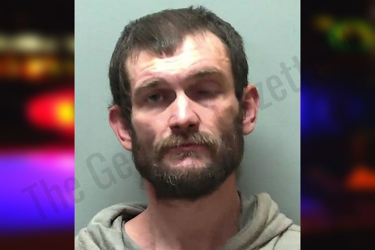 Samuel Hopkins — Towns County