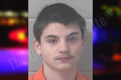 Elijah Hudson — Newton County