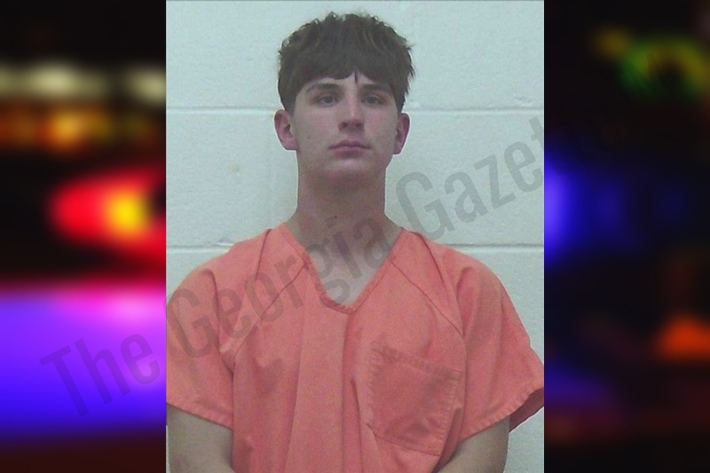 Aaron Johnson — Worth County Jail Bookings