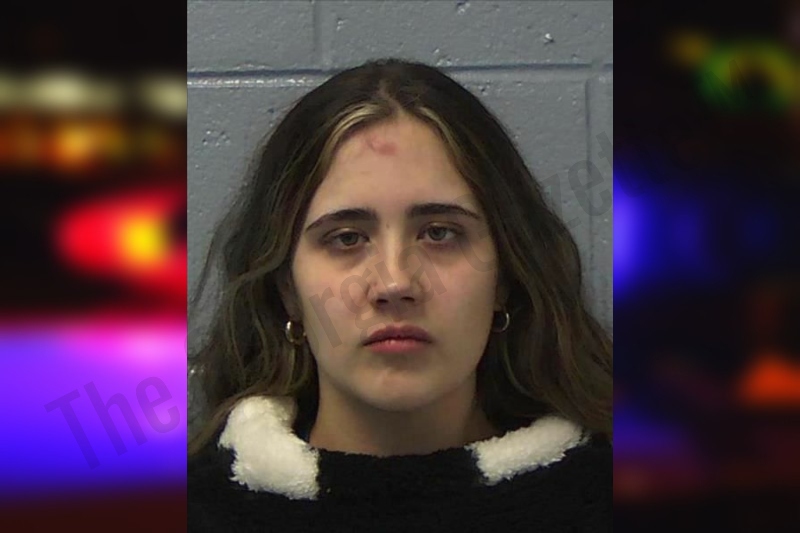 Dylanne Lau — Ware County Jail Bookings