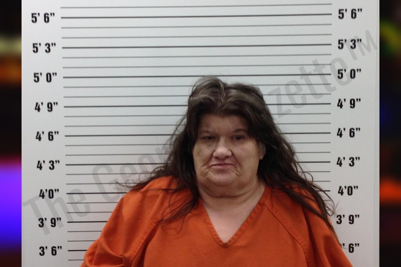Mary Long — Pickens County Jail Bookings