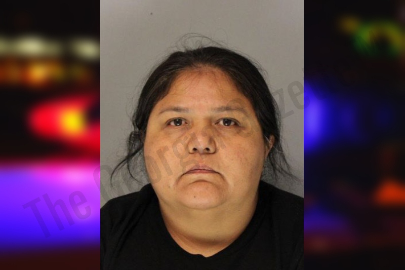 Erika Lozano-Mendoza — Hall County Jail Bookings