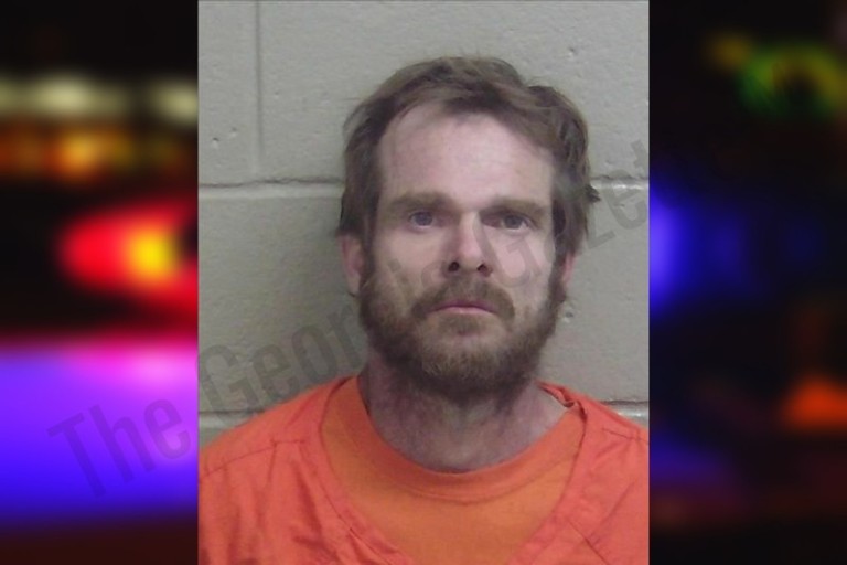 William Manning — Wayne County