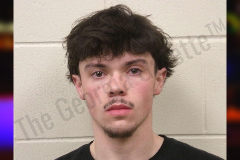 Nathan Merritt — Bulloch County Jail Bookings