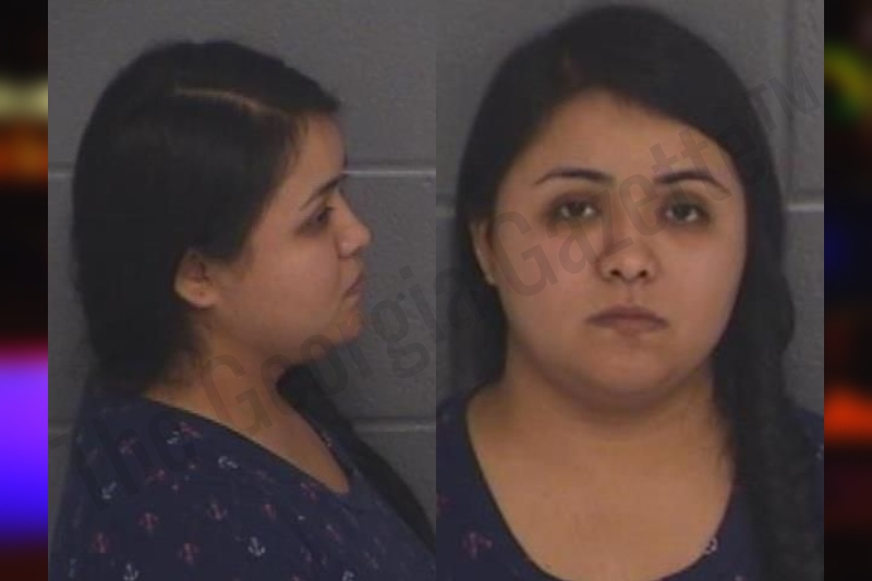 Rosaura Martinez-Perez — Barrow County Jail Bookings