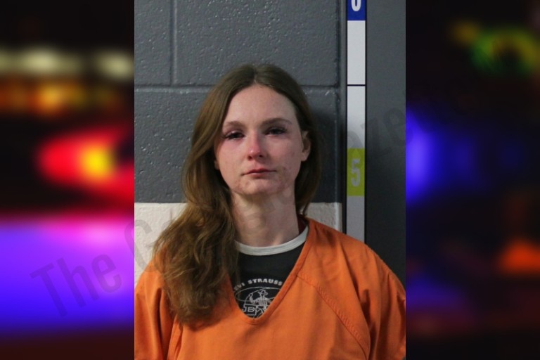 Lumpkin County Jail Bookings – The Georgia Gazette
