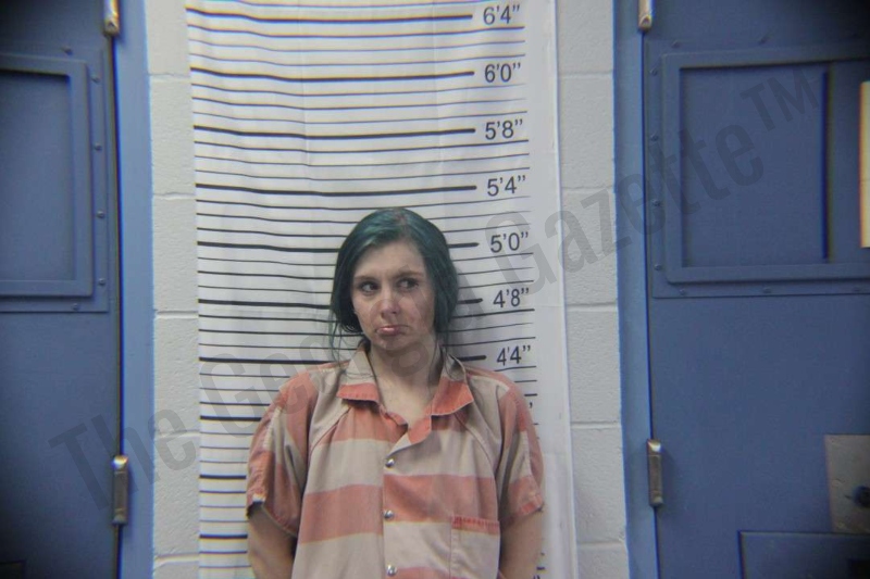 Katelyn Palmer — Stephens County Jail Bookings