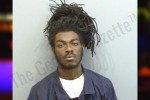 Dominique Scott — Fulton County
