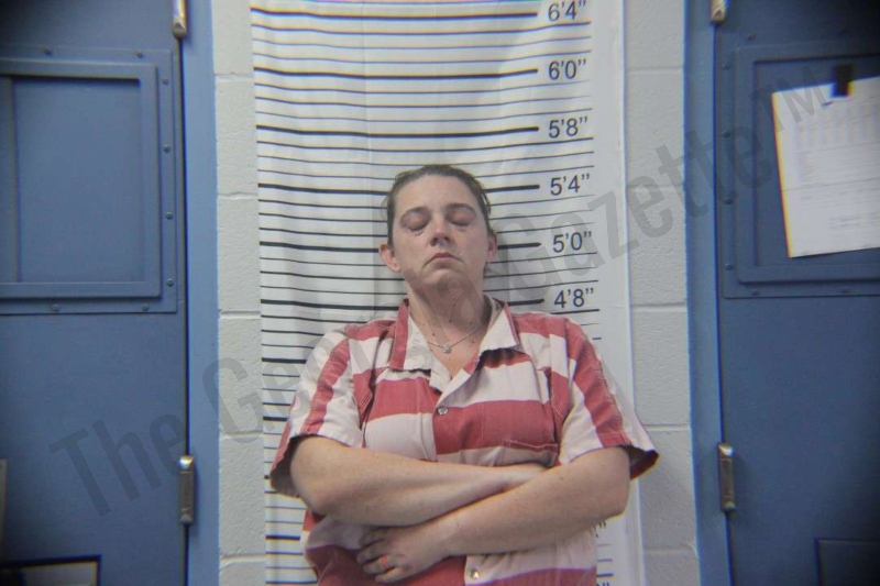 Andreanna Stancil — Stephens County Jail Bookings