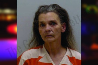 Lisa Stiles — Bartow County
