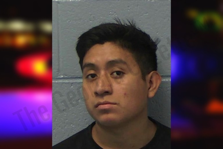 Ware County Jail Bookings – Page 2 – The Georgia Gazette