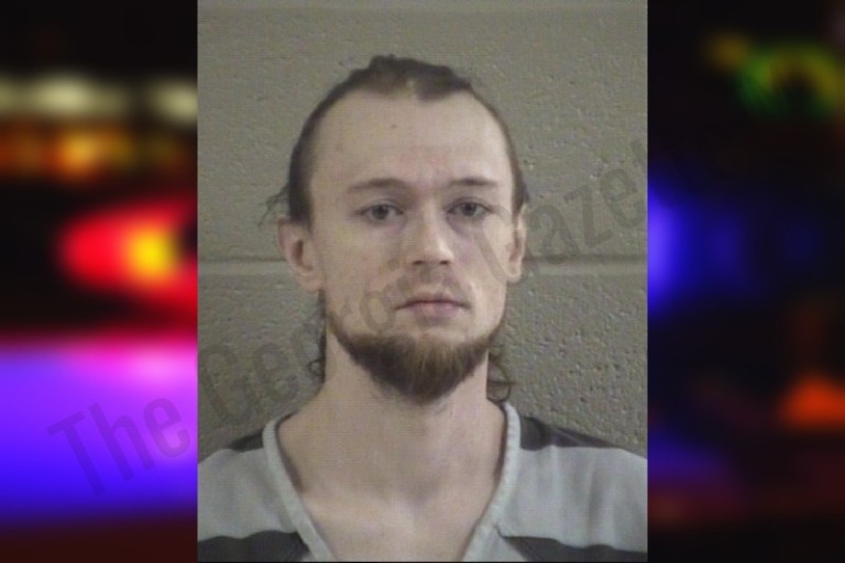 Dillon Whitman — Whitfield County Jail Bookings