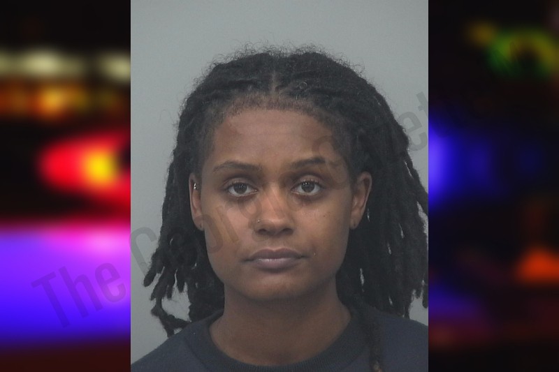 Ariella Williams — Gwinnett County Jail Bookings