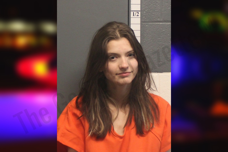 Emma Williams — Lumpkin County Jail Bookings