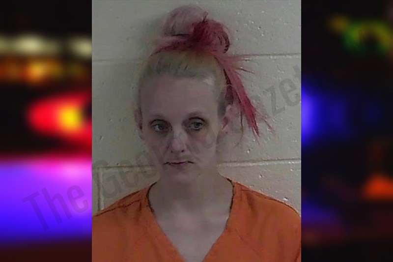 Courtney Wimpy — Fannin County Jail Bookings