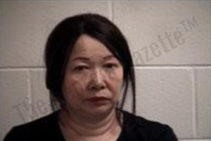 Jin Xianping — Henry County Jail Bookings