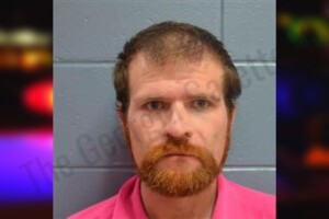 Brandon Allen-Rey — Lee County