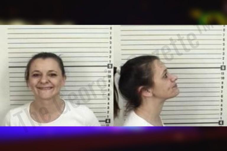 Allison Hansen — Camden County