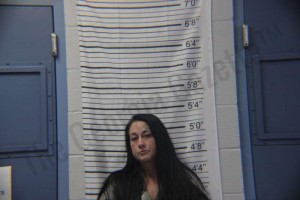 Shannon Johnson — Stephens County