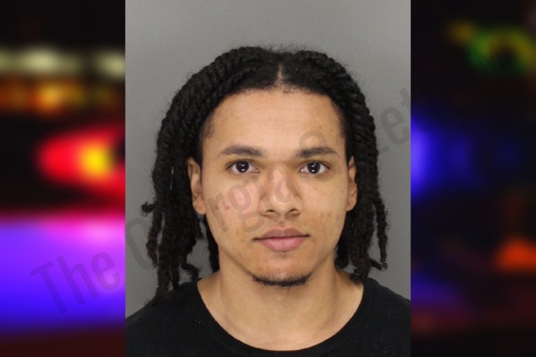 Seth King — Cobb County