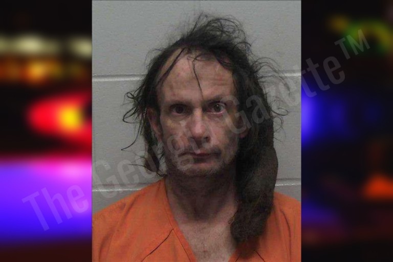 Michael Loyd — Laurens County
