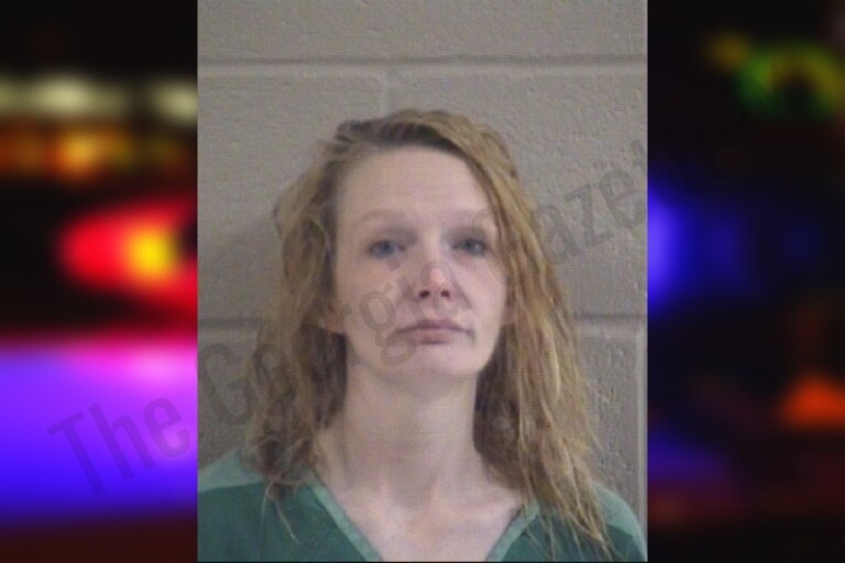 Sue Massingill — Whitfield County