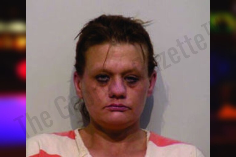 Lisa Mulkey — Bartow County