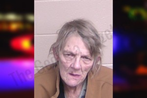 Evonne Shirley — Walker County