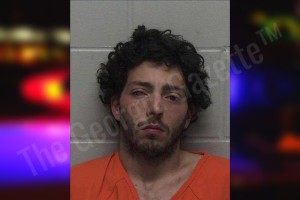 Nicholas Wood — Laurens County
