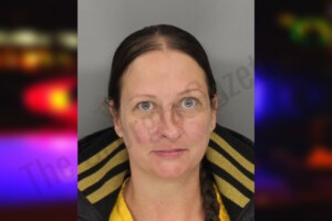 Lisa Caston — Cobb County