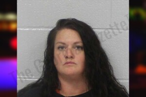 Kelly Delaney — Carroll County