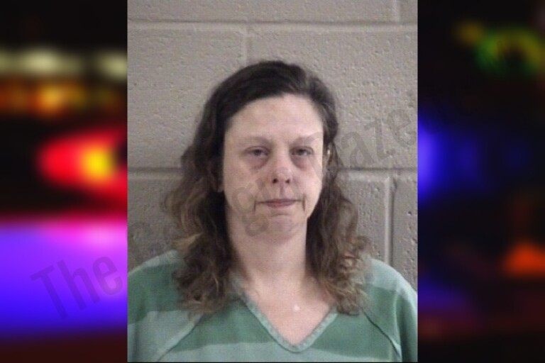 Brandy Ellison — Whitfield County