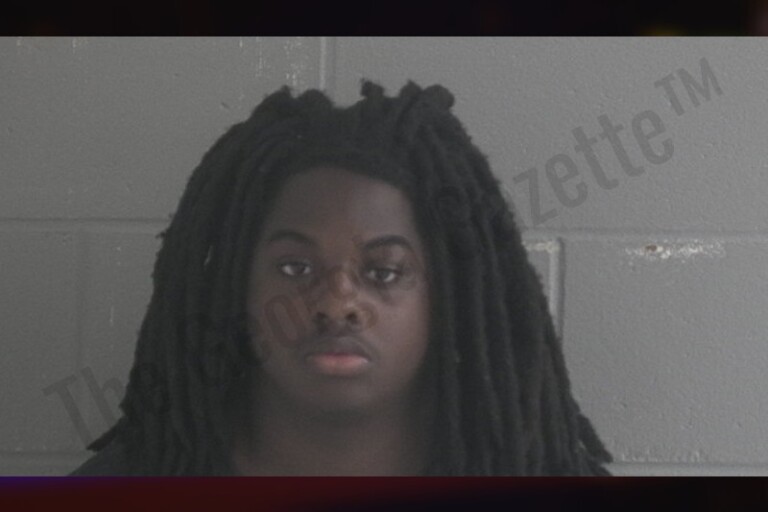 Lamar Mitchell — Brantley County