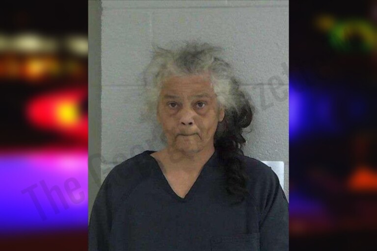 Deborah Davis — Gilmer County