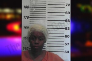 Meriwether County – The Georgia Gazette