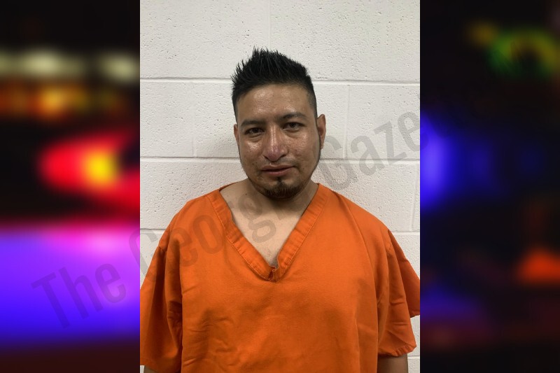 Jose Alejo-Salmeron — Cook County