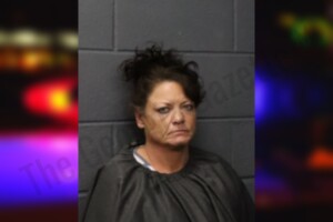 Lisa Dunford — Forsyth County